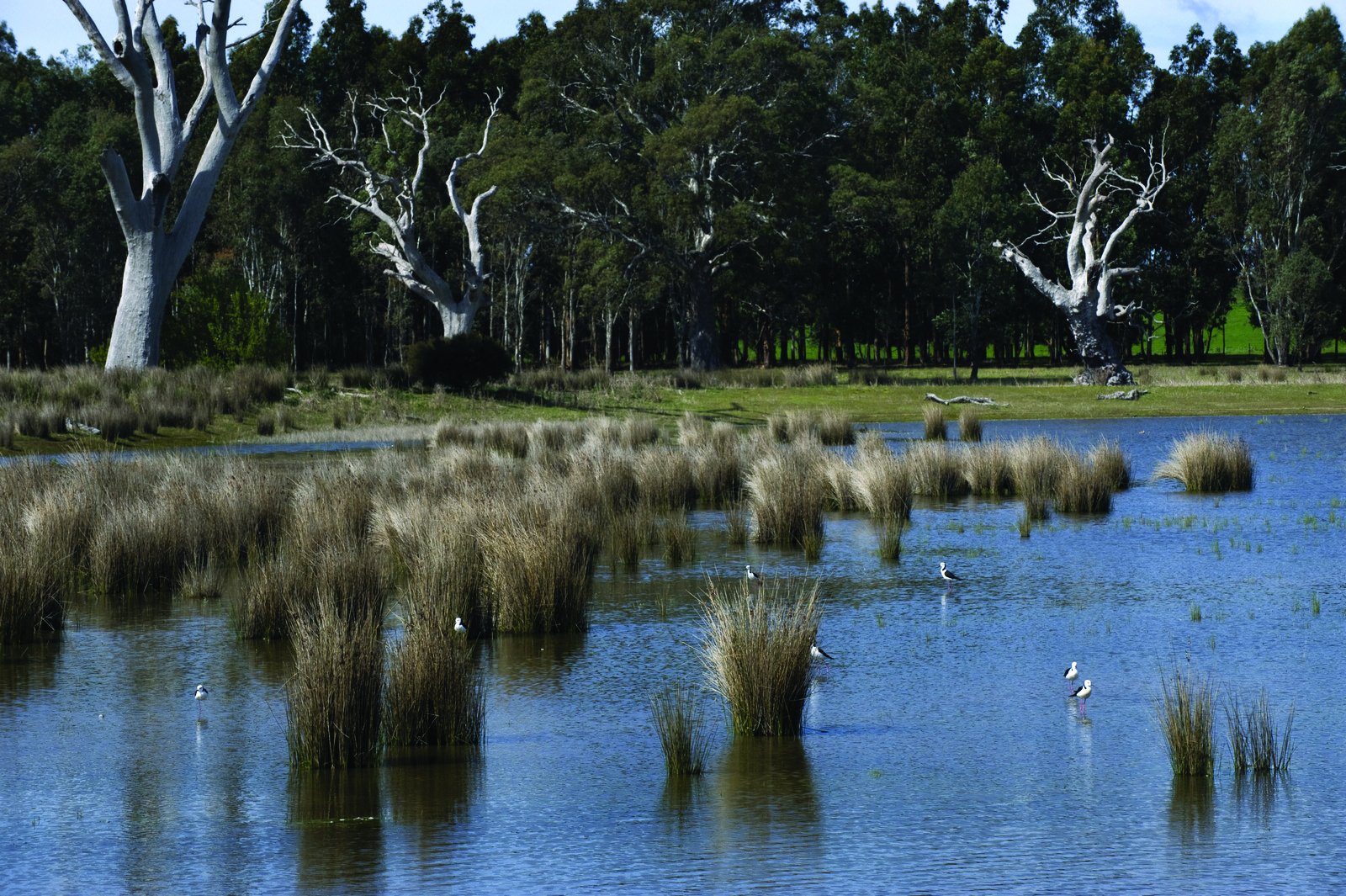 West Wimmera | Wimmera Regional Catchment Strategy